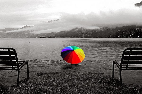 Katy Bird Unit 1 Photography: Formal Elements - Discussion