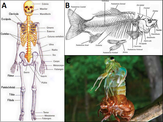 Comparando e Aprendendo!: 2014-11-02