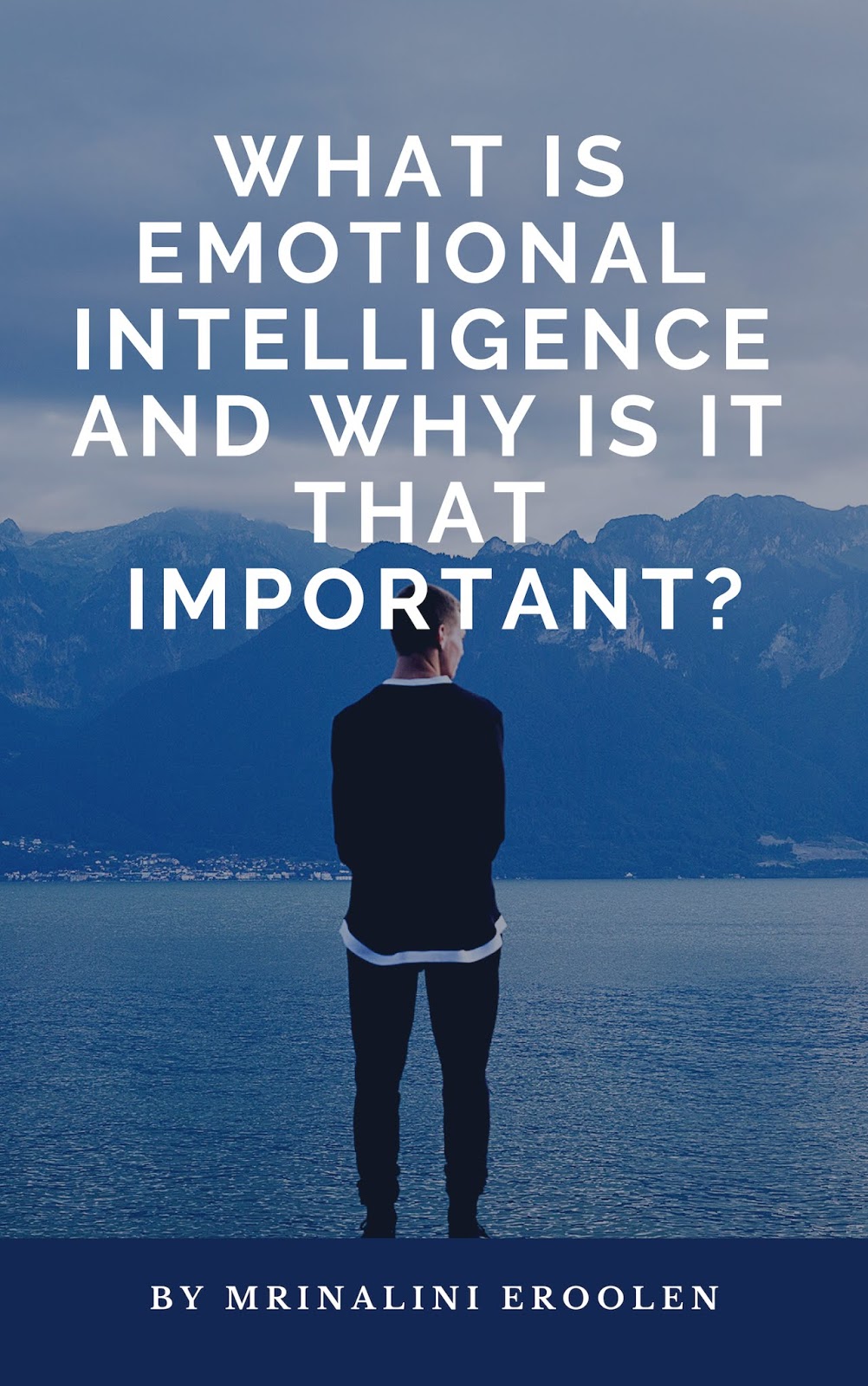 Holiday Gifts For Self Improvement What Is Emotional Intelligence And holiday-gifts-for-self-improvement-what-is-emotional-intelligence-and