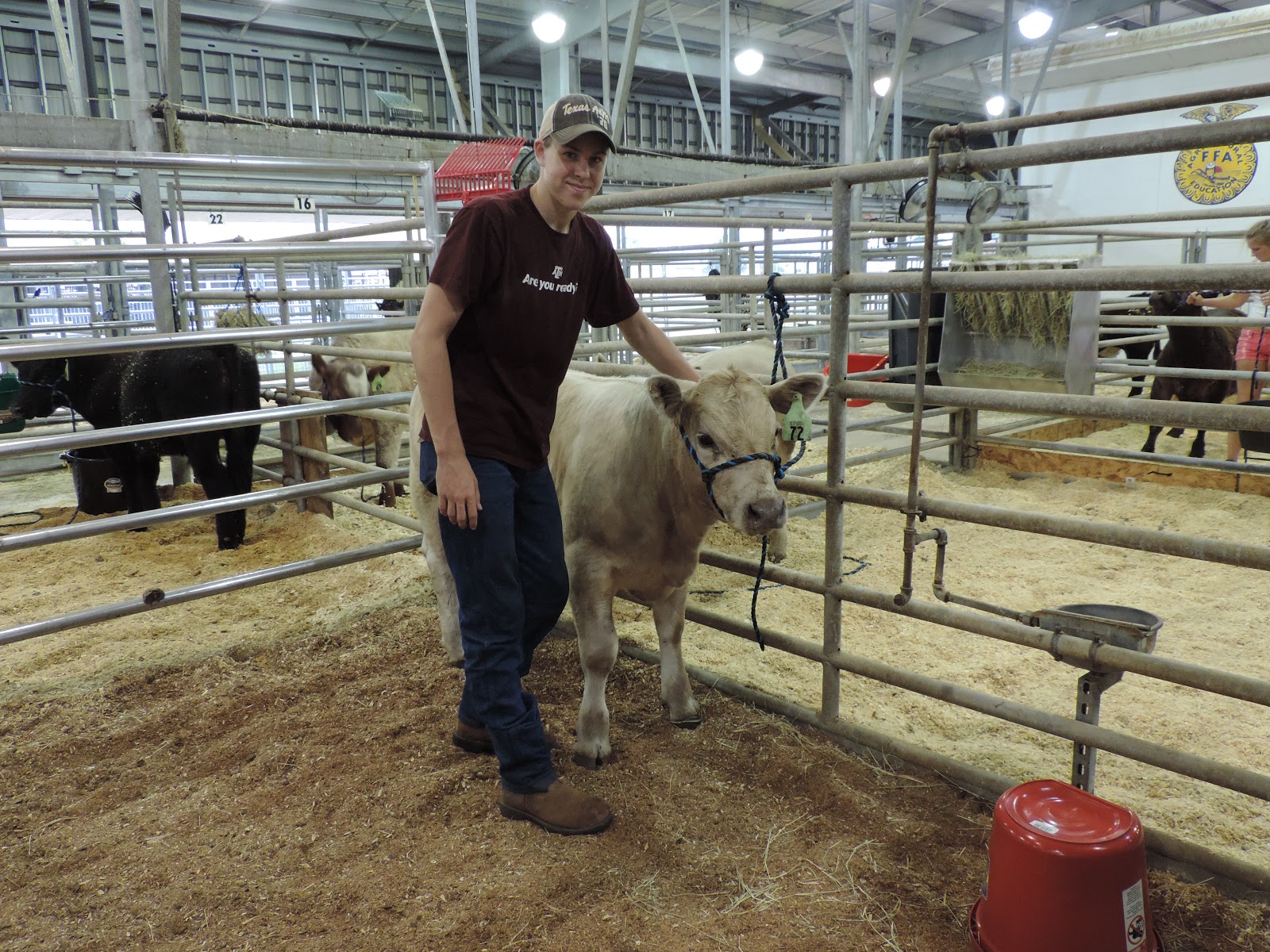 Welcome to Big Carms Farm