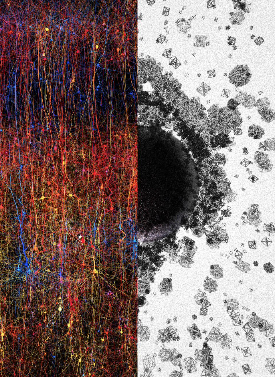 career: Brain Architecture: Scientists Discover 11 Dimensional ...