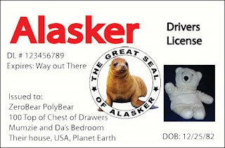 ZeroBear Blog - The Adventures of a Southern PolyBear: Wheels