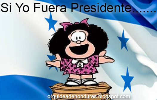 Brassavola Digbyana: Si Yo Fuera Presidente...Seguridad