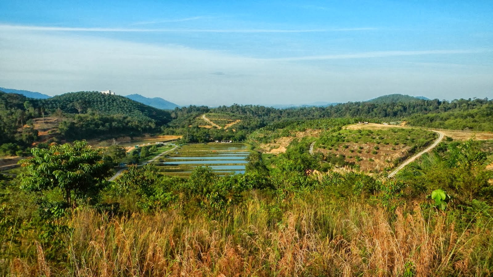 Tanaman Kekal Pengeluaran Makanan (TKPM) ~ Teruna Garang
