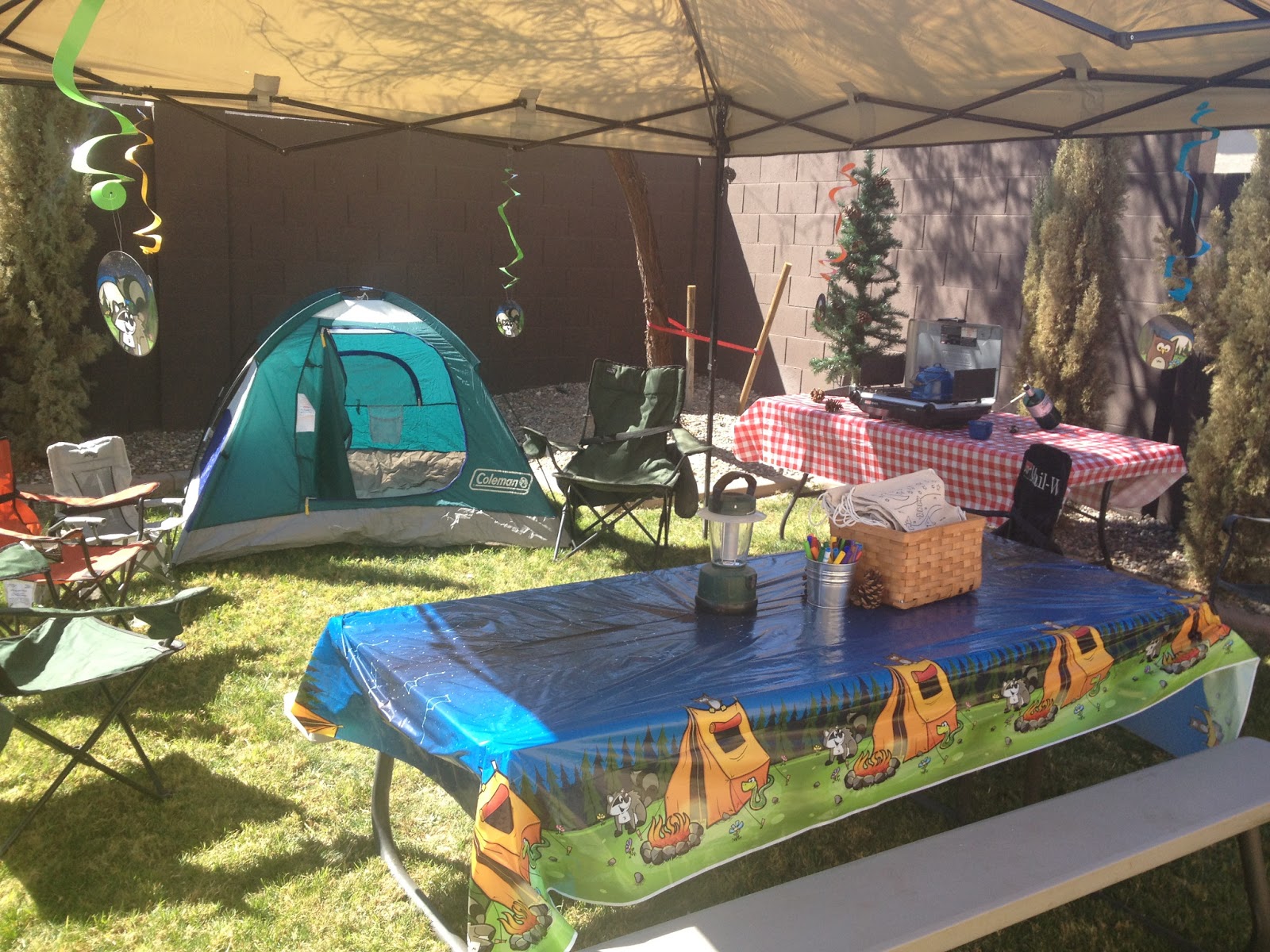 The Busy Broad: Camping Themed Birthday Party Decorations