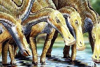 Species New to Science: [Paleontology • 2008] Wulagasaurus dongi • a ...