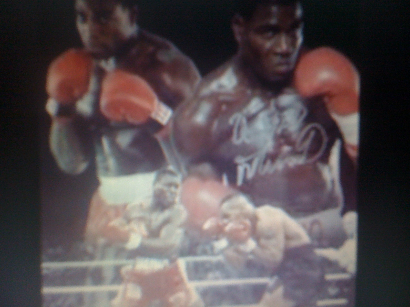 THE BLACK SOCIAL HISTORY:: BLACK SOCIAL HISTORY : FRANKLIN " FRANK" ROY ...