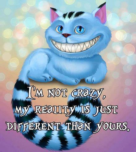 Funny and Crazy pictures, Images,Gifs, Jokes