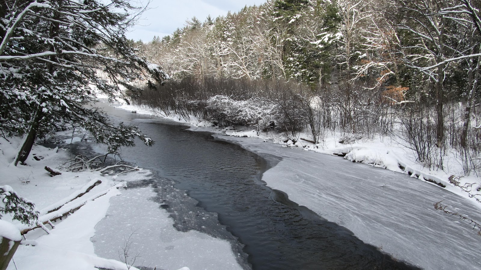 Head in the Clouds Amherst: Robert Frost Trail After Snow