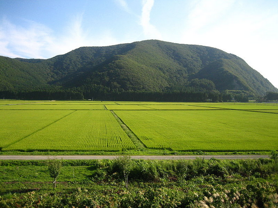 VISITEUSSOON: AGRICULTURE OF JAPAN.