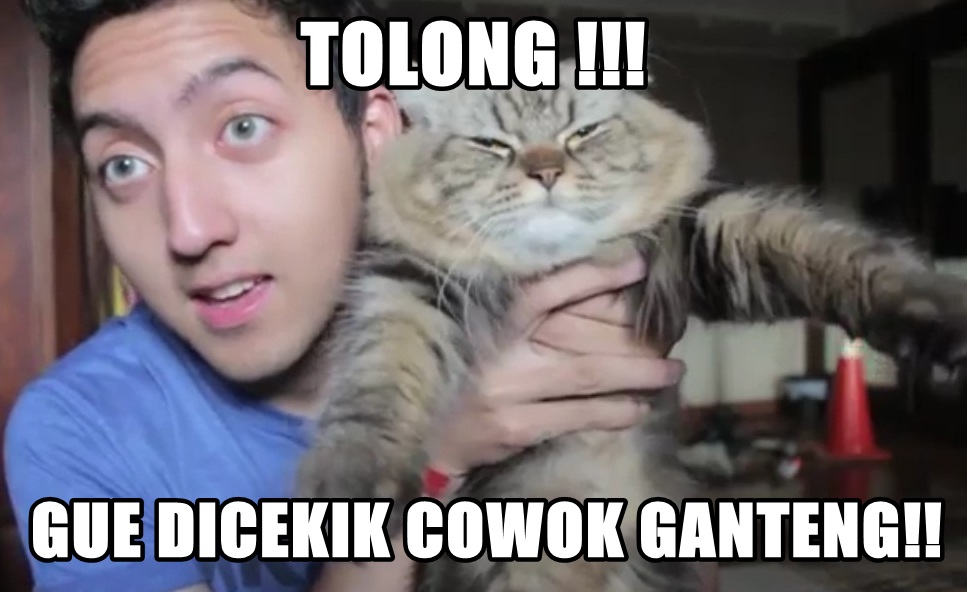 Perdana Blog: Ada Apa dengan Cowok dan Kucing?