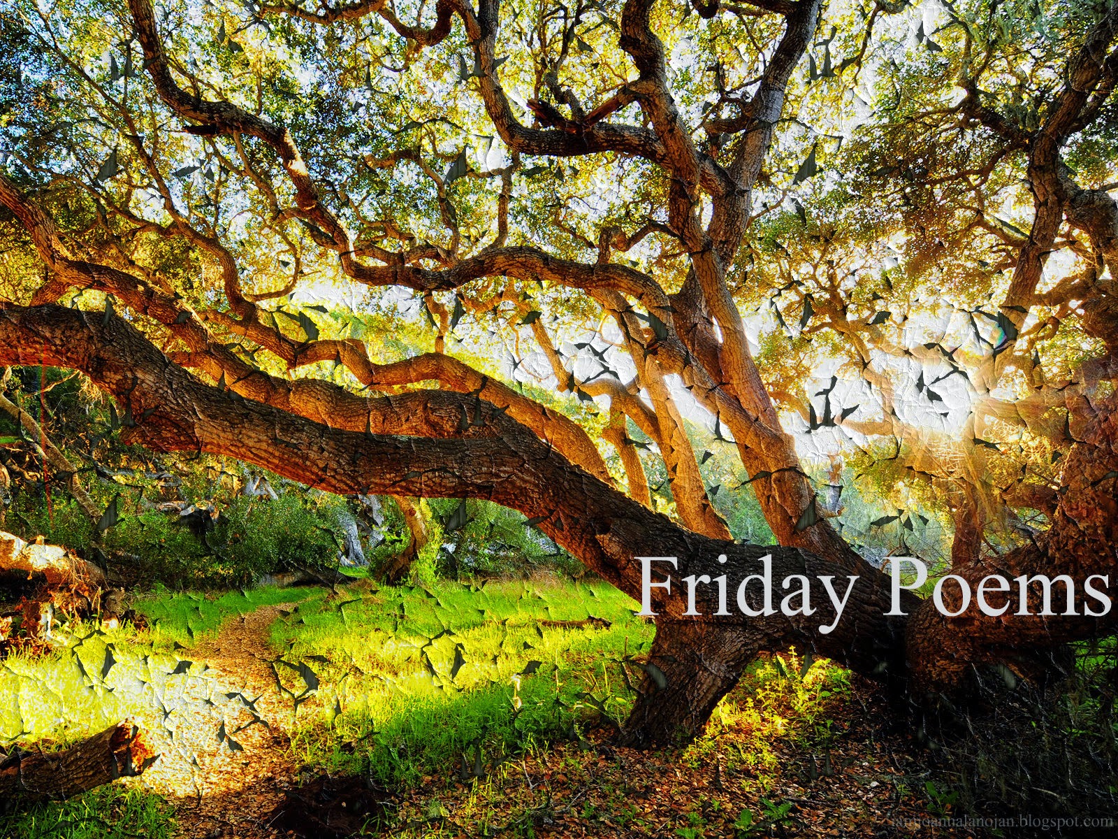 writetowander: Poetry's Stories: Friday Poems