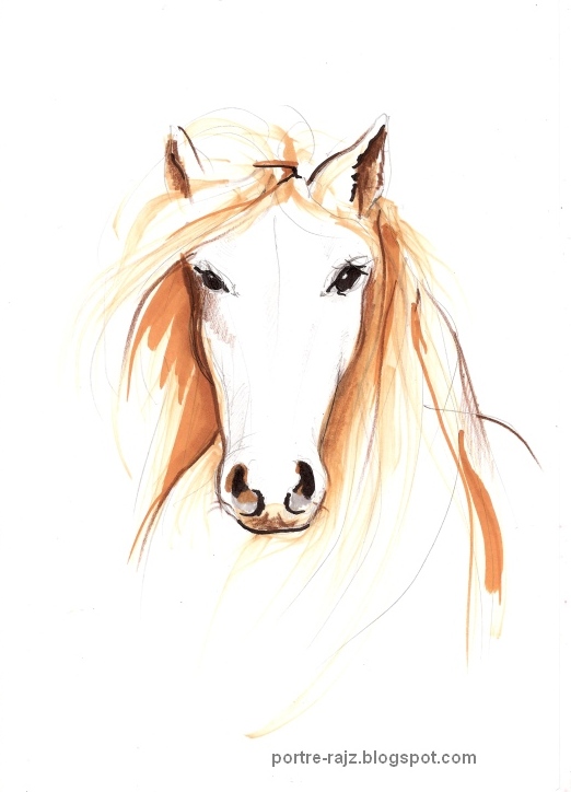 Digitális portré rajz készítés - Portrait drawings: Állati portré ...