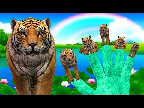 Tiger Finger Family Cartoon Nursery Rhymes for Children | Nursery Rhymes