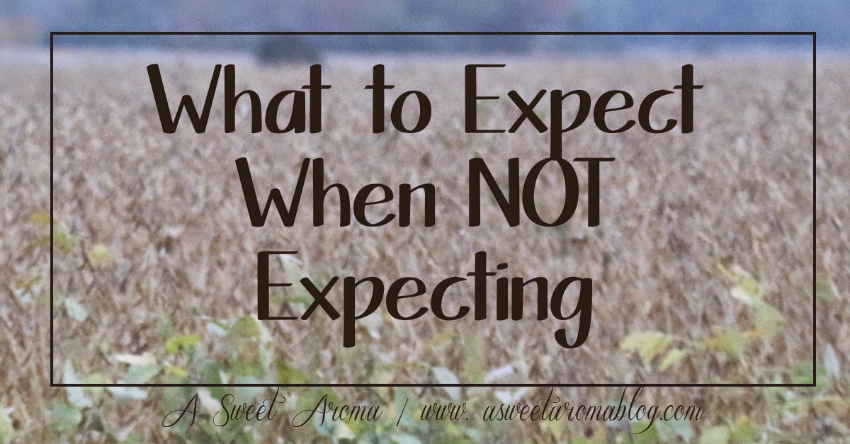 What to Expect When NOT Expecting - A Sweet Aroma