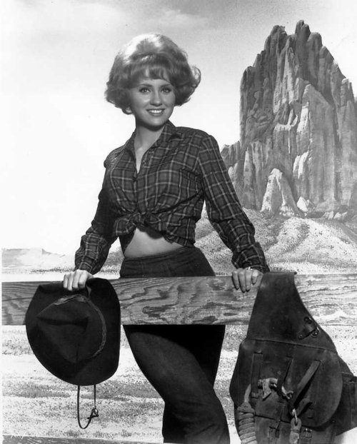 A View from the Beach: RIP Wrangler Jane