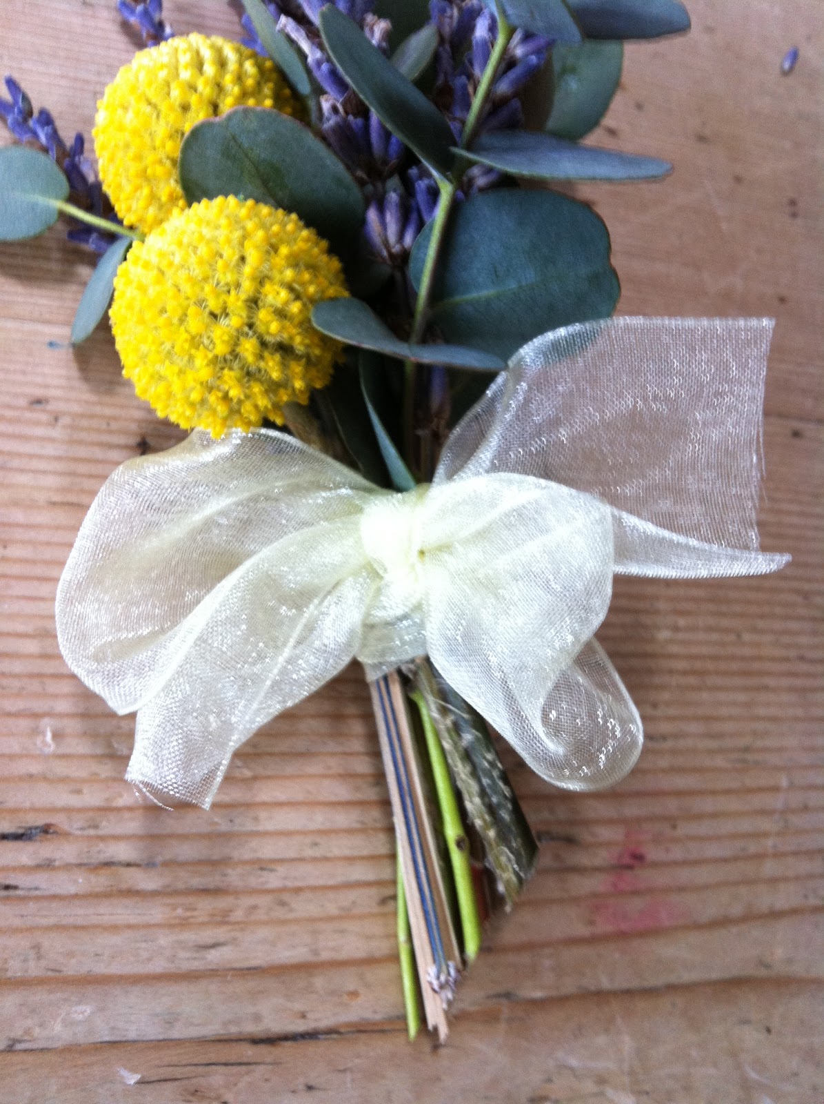 Campbell's Flowers: January 2012