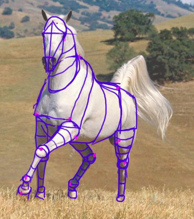 Louis learns to draw: Animal Drawing Week 1