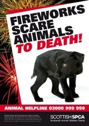 Property Locker: Help keep animals safe this firework season