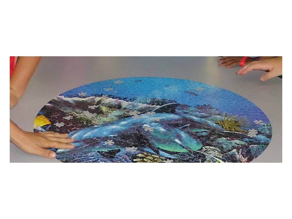 Special Education Strategies And More...: Tough Puzzle!