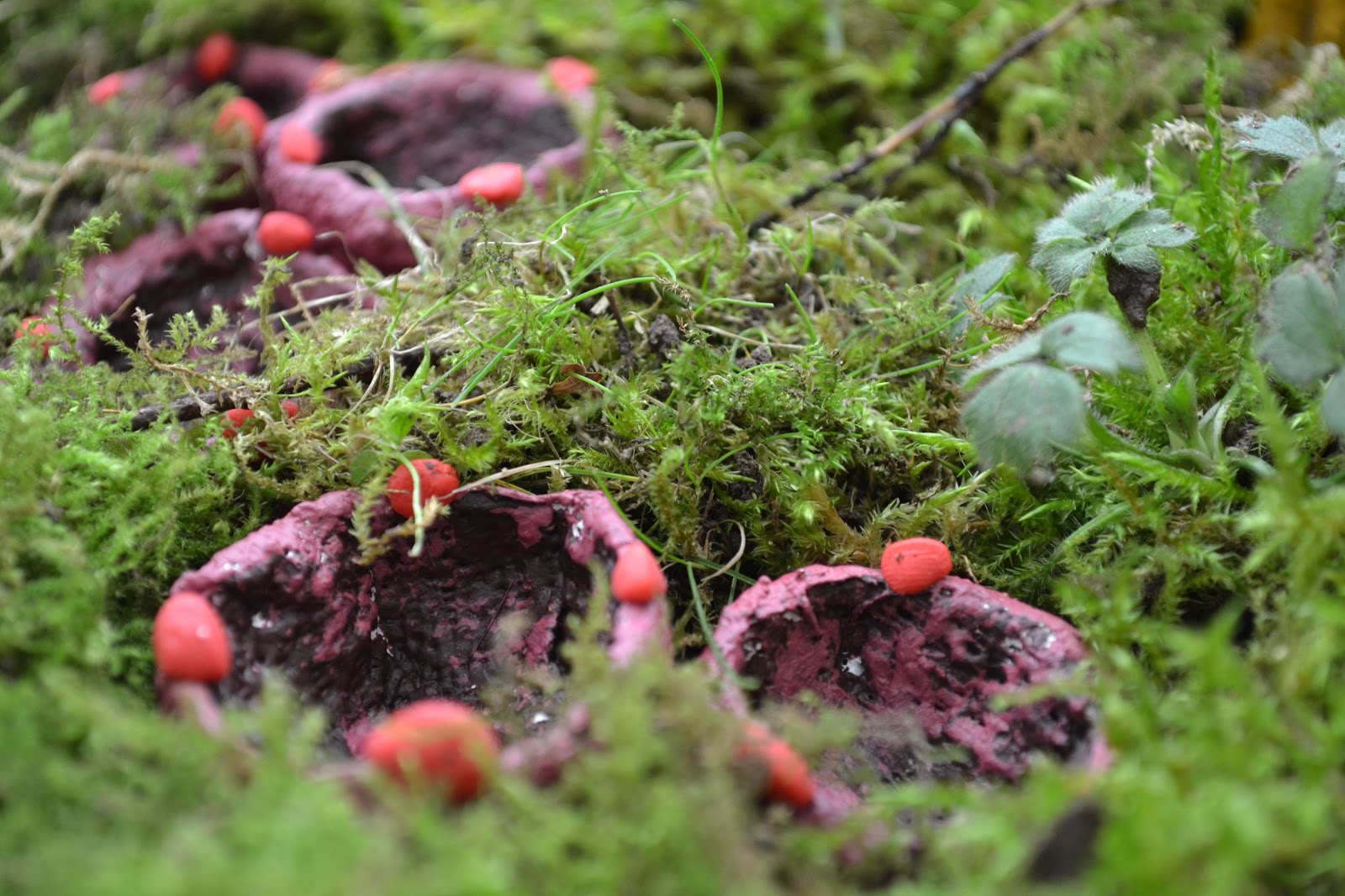 Reflective log Pam Tierney