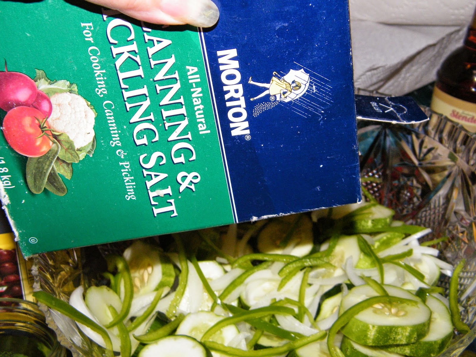 Veronica the Lazy Diva's Quasi-Crafty Blog: Here we go again ...