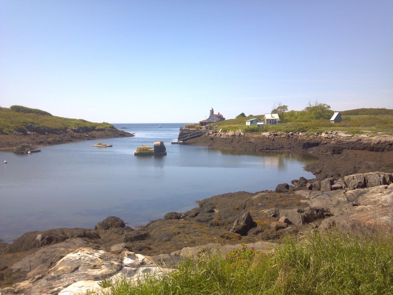 Mussel Ridge Adventures