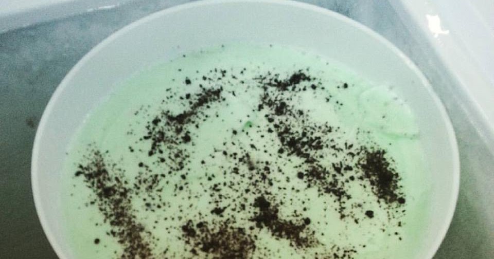 15.11.15 Mint Chocolate Chip Free Aiskrim | Kuszie Cream