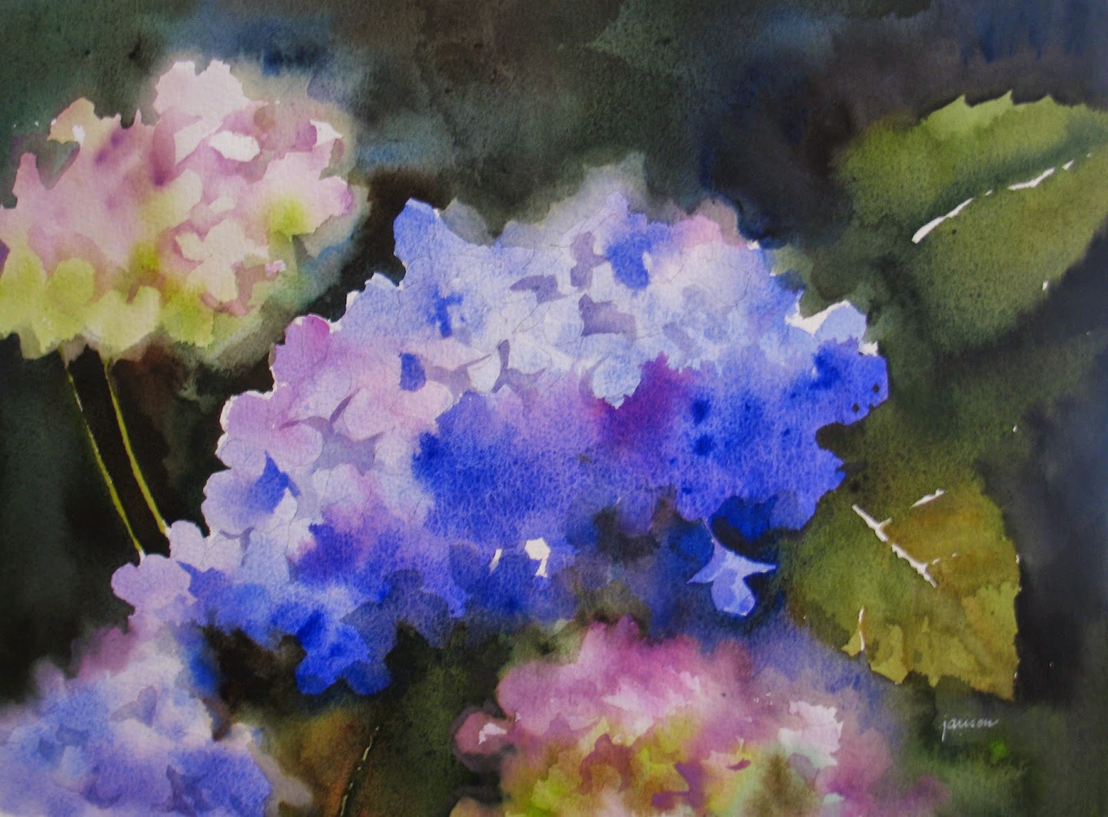 Nel's Everyday Painting: Watercolor Hydrangeas - SOLD