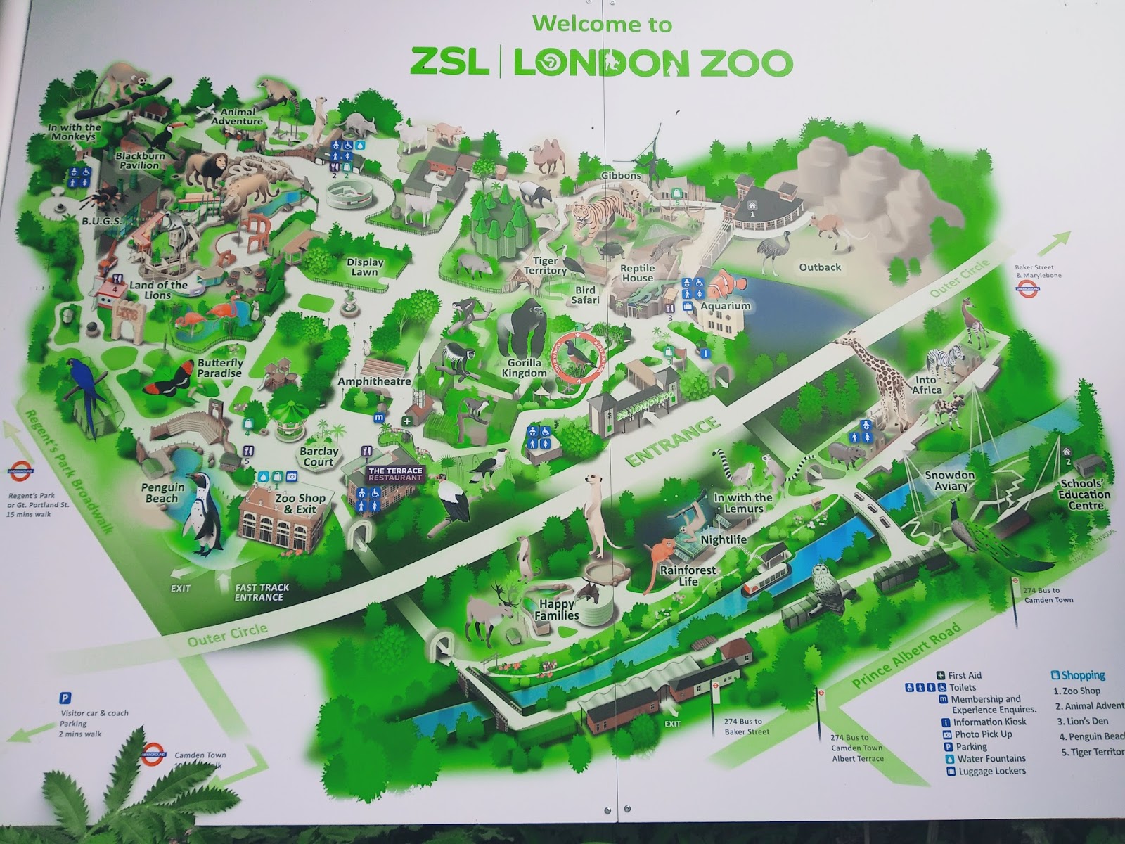 倫敦有個動物園 -- ZSL LONDON ZOO!!