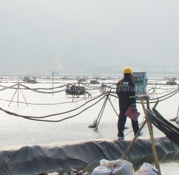 Apuntes de Geotecnia con Énfasis en Laderas: Historia de la Geotecnia ...