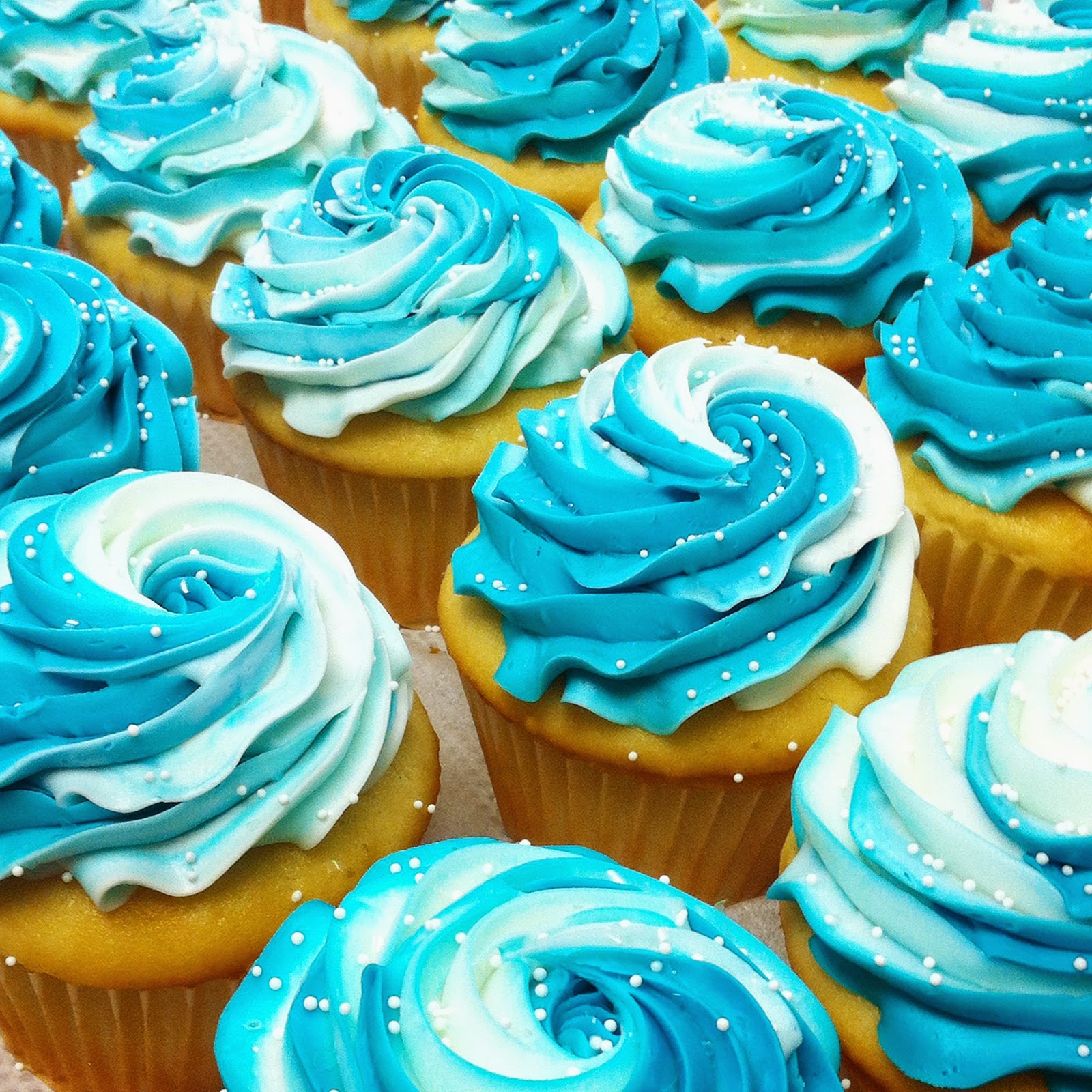 Lola Pearl Bake Shoppe: FACT: Cupcakes cure the Winter Blues
