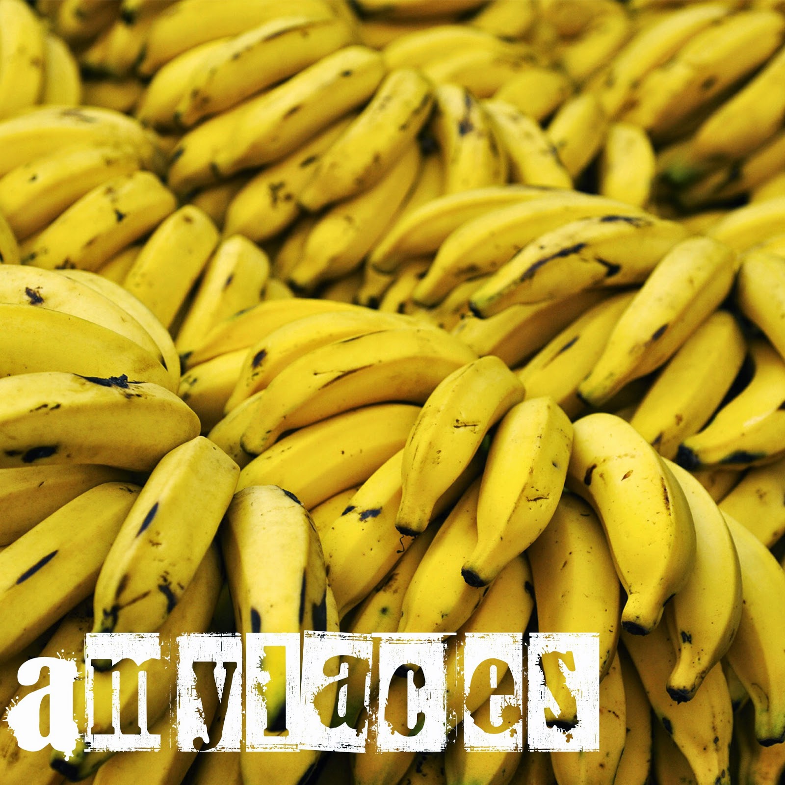 Bien Plus Que 5 Fruits Et Légumes: Classification des fruits