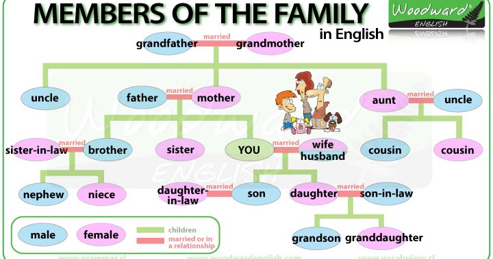 ENGLISH JOINS US!: Vocabulary: Family members