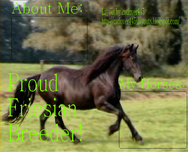 Howrse codes - hirelsa