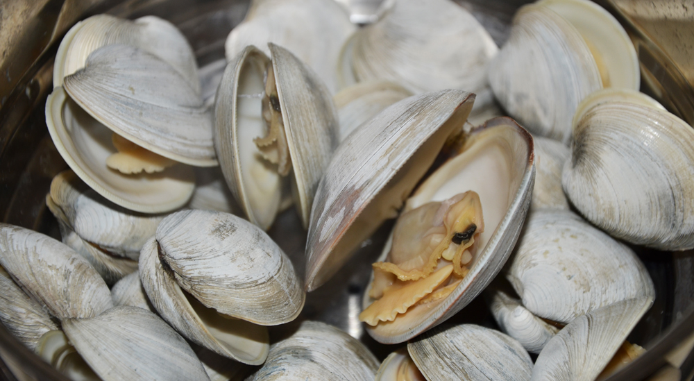 K-Cooks: New England Clam Chowder