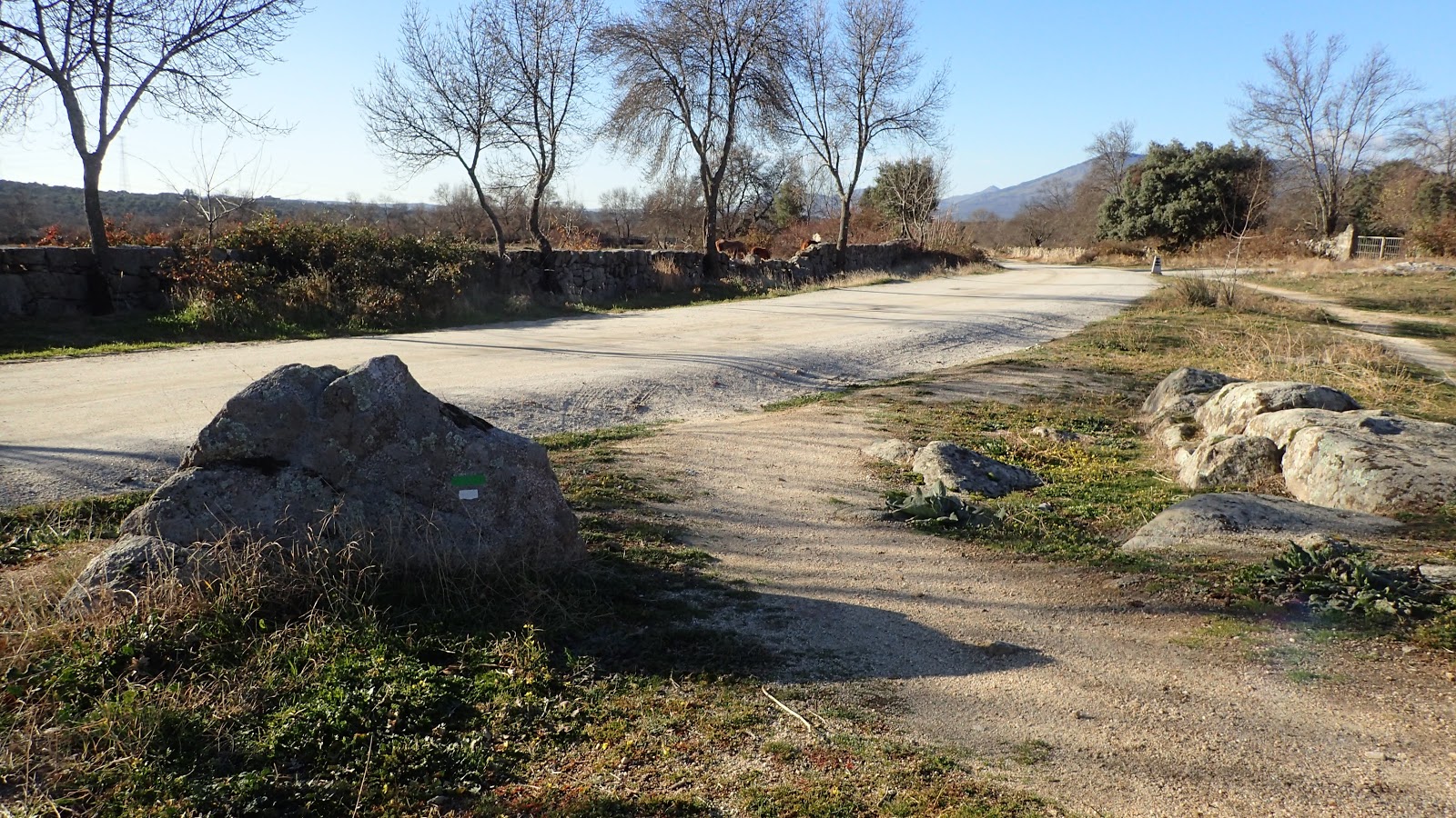 Wikiloc | Ruta Collado Mediano Cerro del Castillo y Ruinas Romanas de ...