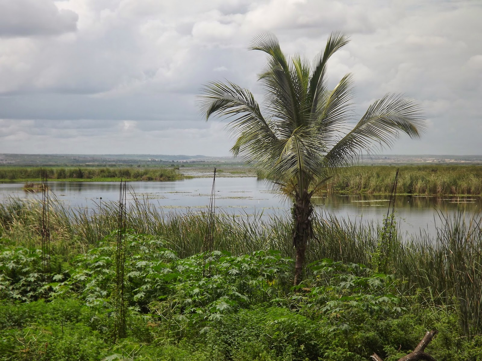LIVRES PENSANTES: Da Província do Bengo em Angola I