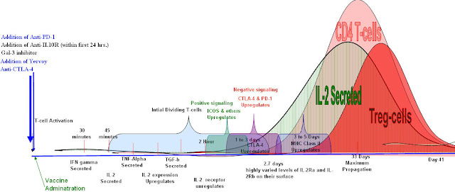 Melanoma_Missionary: Anti-PD-1 (BMS-936558, MDX-1106) in patients with ...