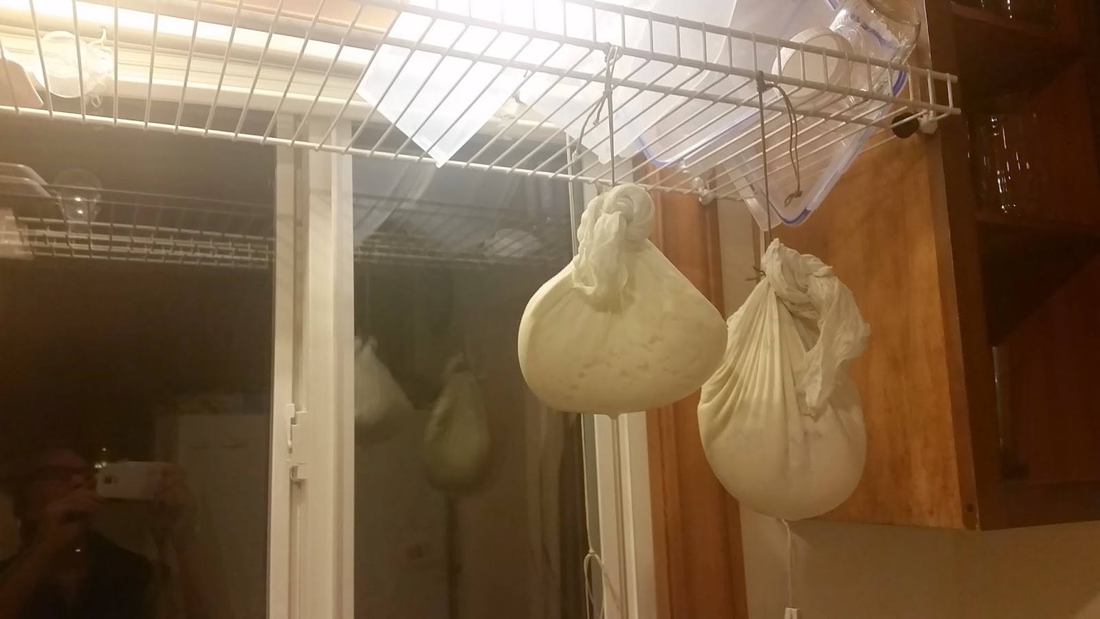 Cheesemaking 101, 201, 301, and more - Gigi Berardi