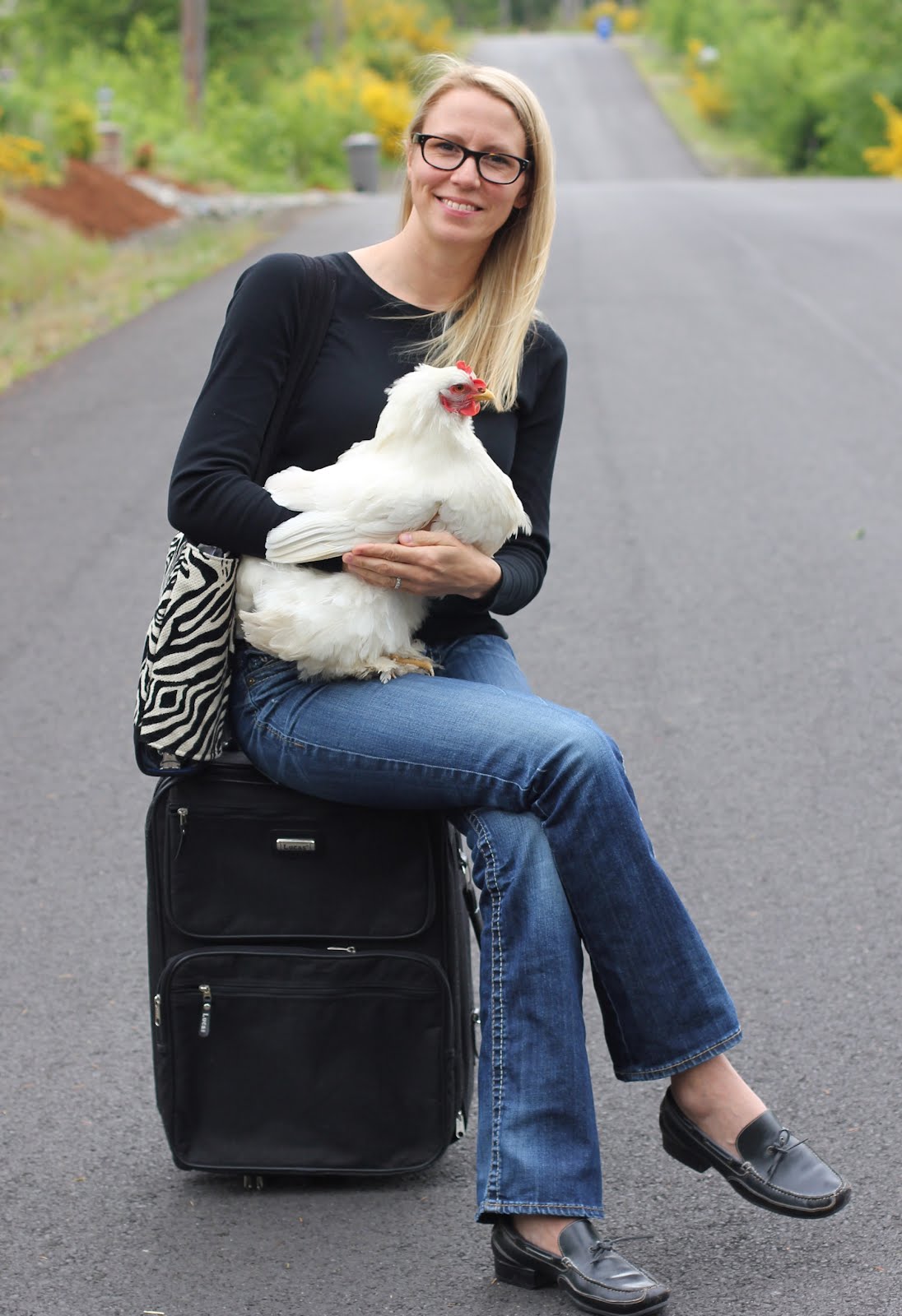 A day in the life of Mavis...: What Happened to Mavis? Where Did Mavis ...