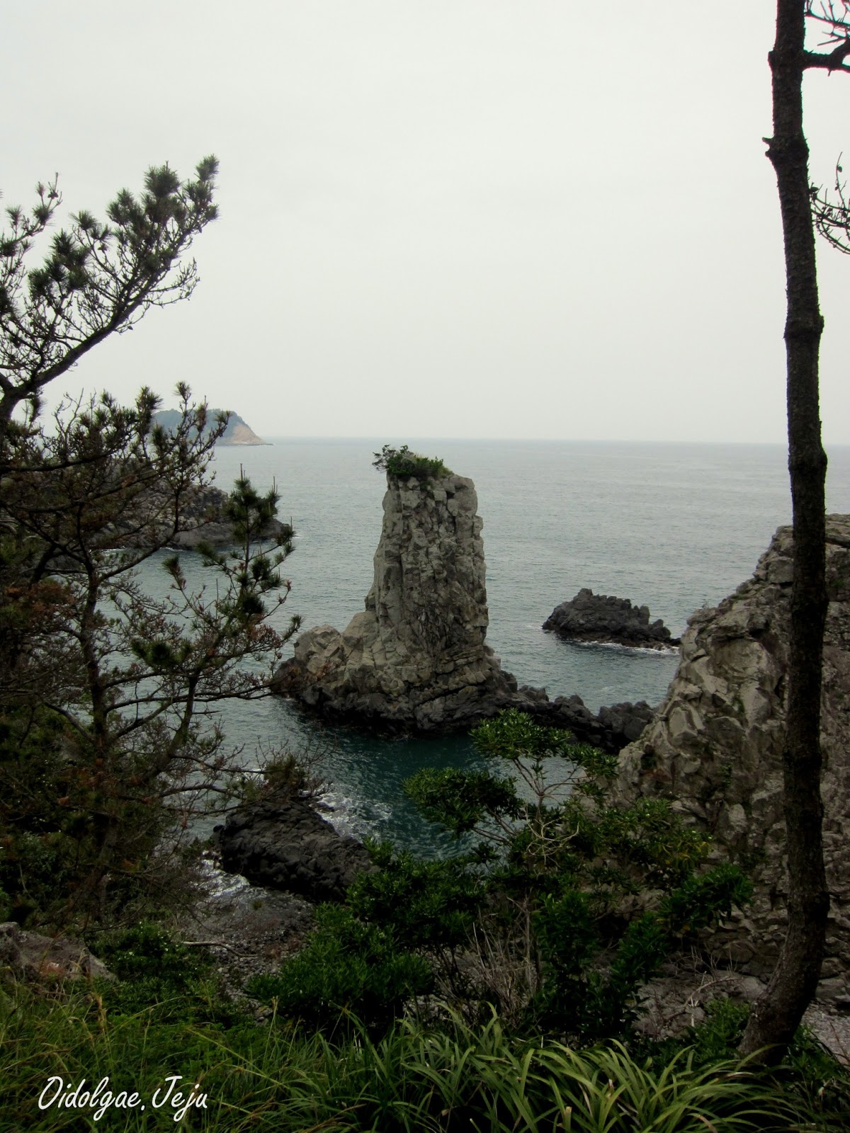 Jeju Island (Cheju Island) - Footprints of Erica