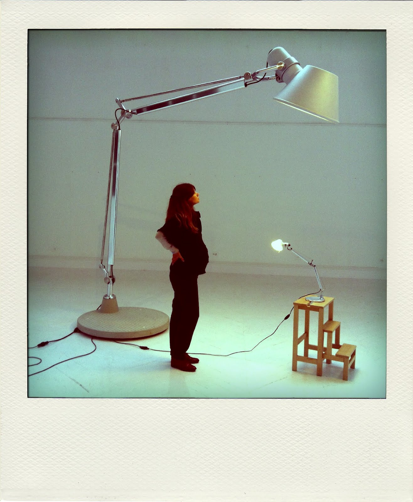 mi coleccion de poladroids