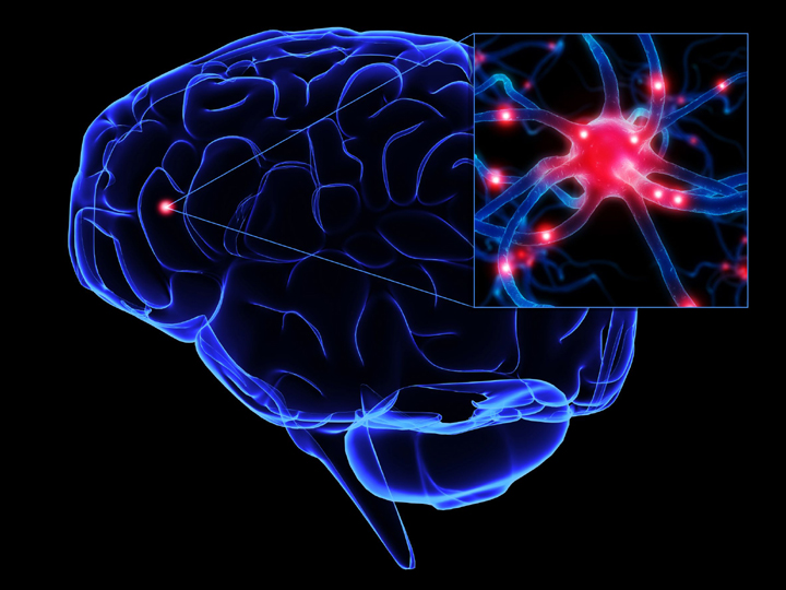 ΤΕΜΠΕΛΙΚΟ ΜΑΤΙ - VISION THERAPY: Πλαστικότητα εγκεφάλου και θεραπεία ...