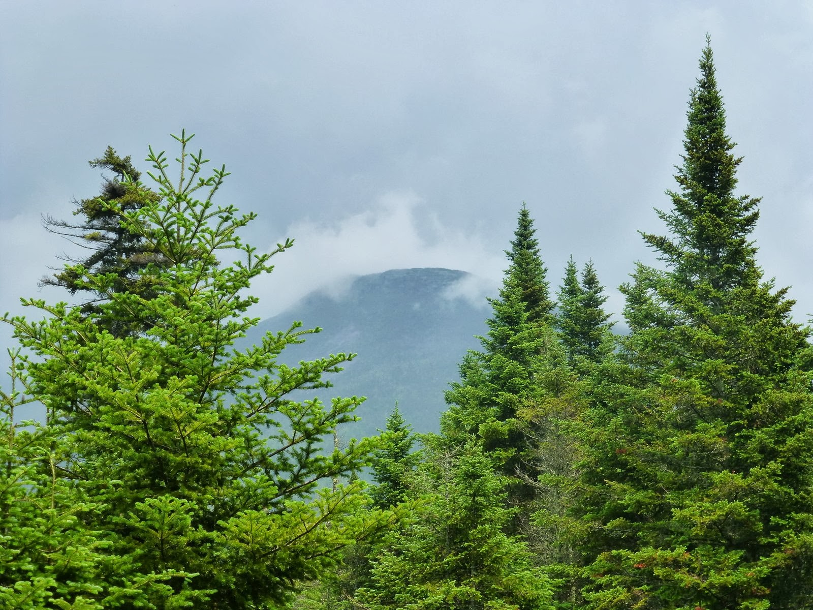 Off on Adventure: Flowed Lands from Upper Works - 6/23/13