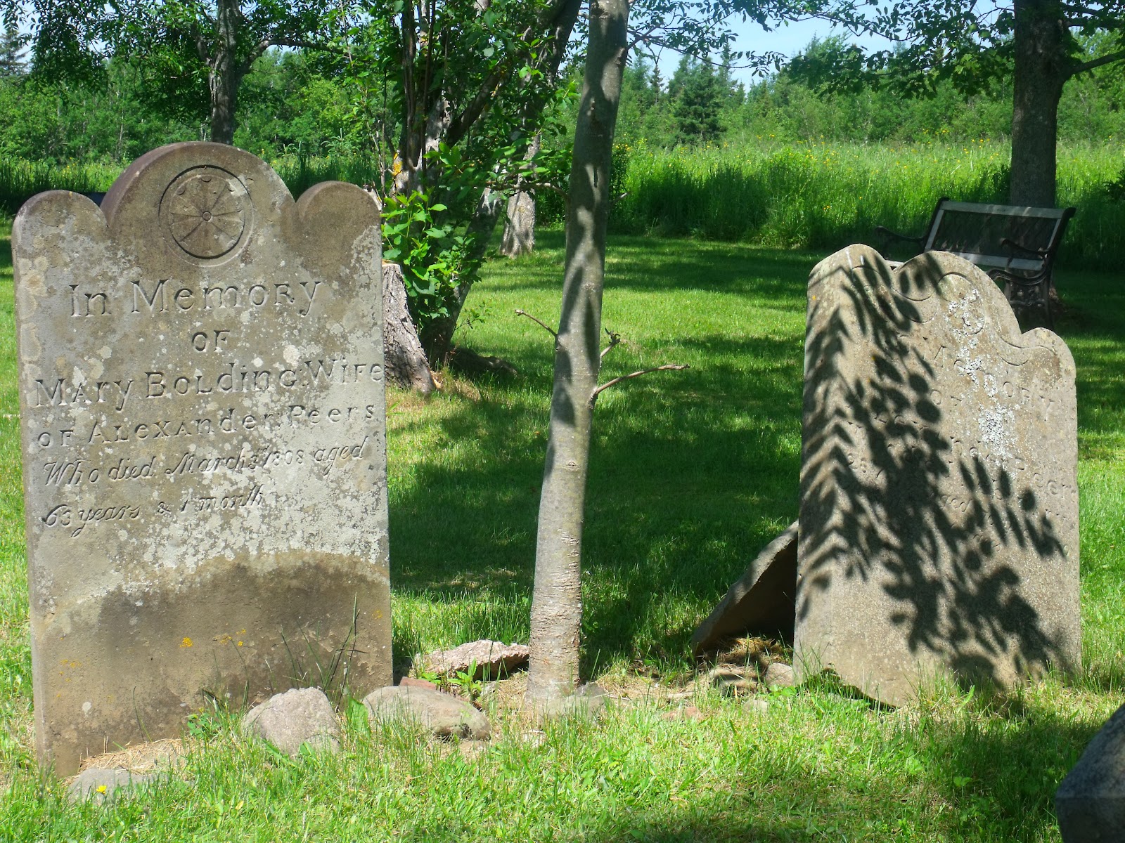 Something to Bragg About...: Alexander Peers UE