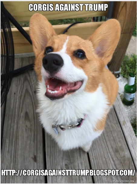 Corgis Against Trump: Corgis help with #TrumpYourDog