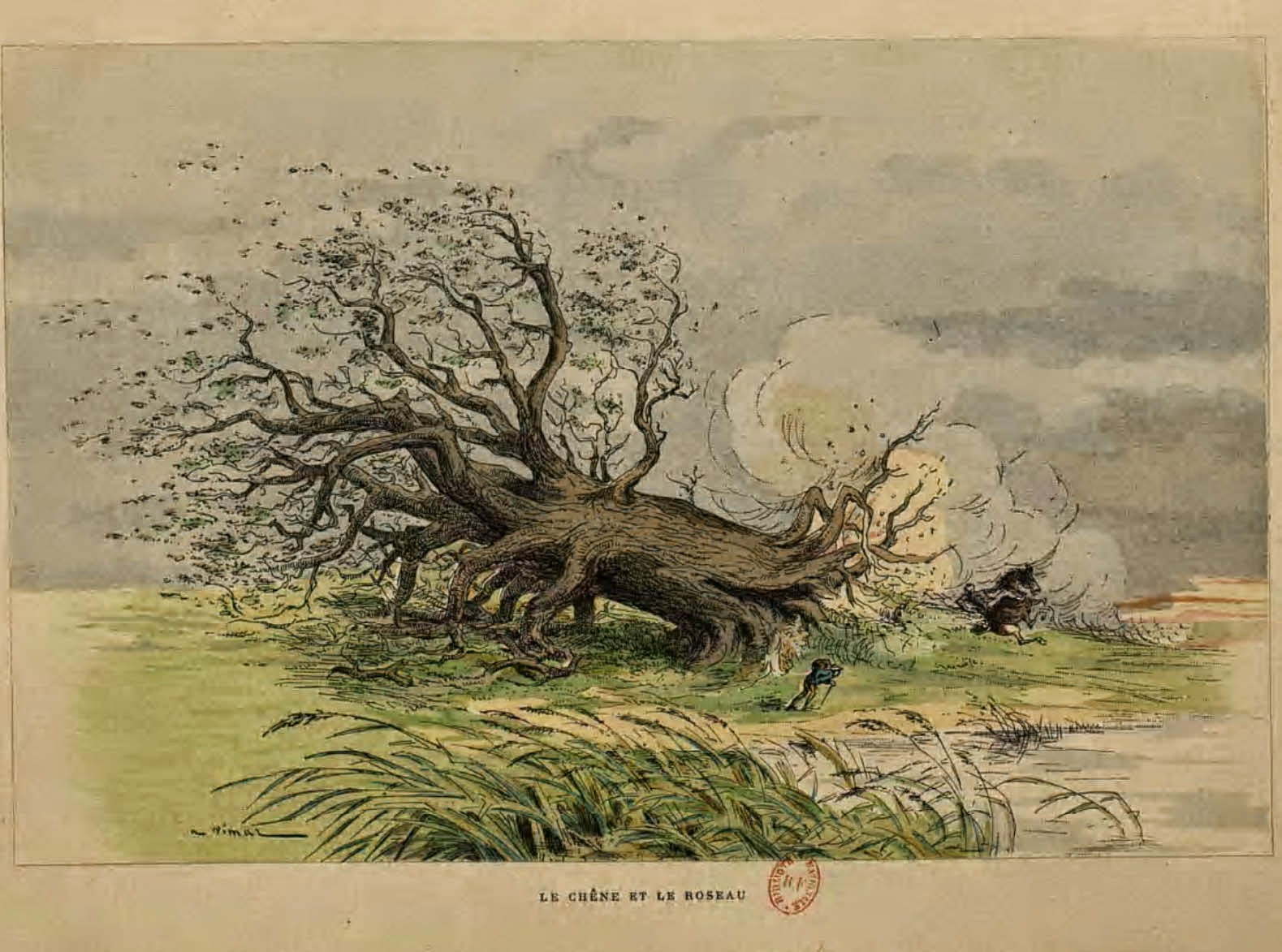 Fablimages : La Fontaine et ses illustrateurs: Le chêne et le roseau ...