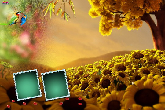 Karizma Album Background 12x8