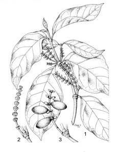 Tantri Ay-Nahra: April 2013